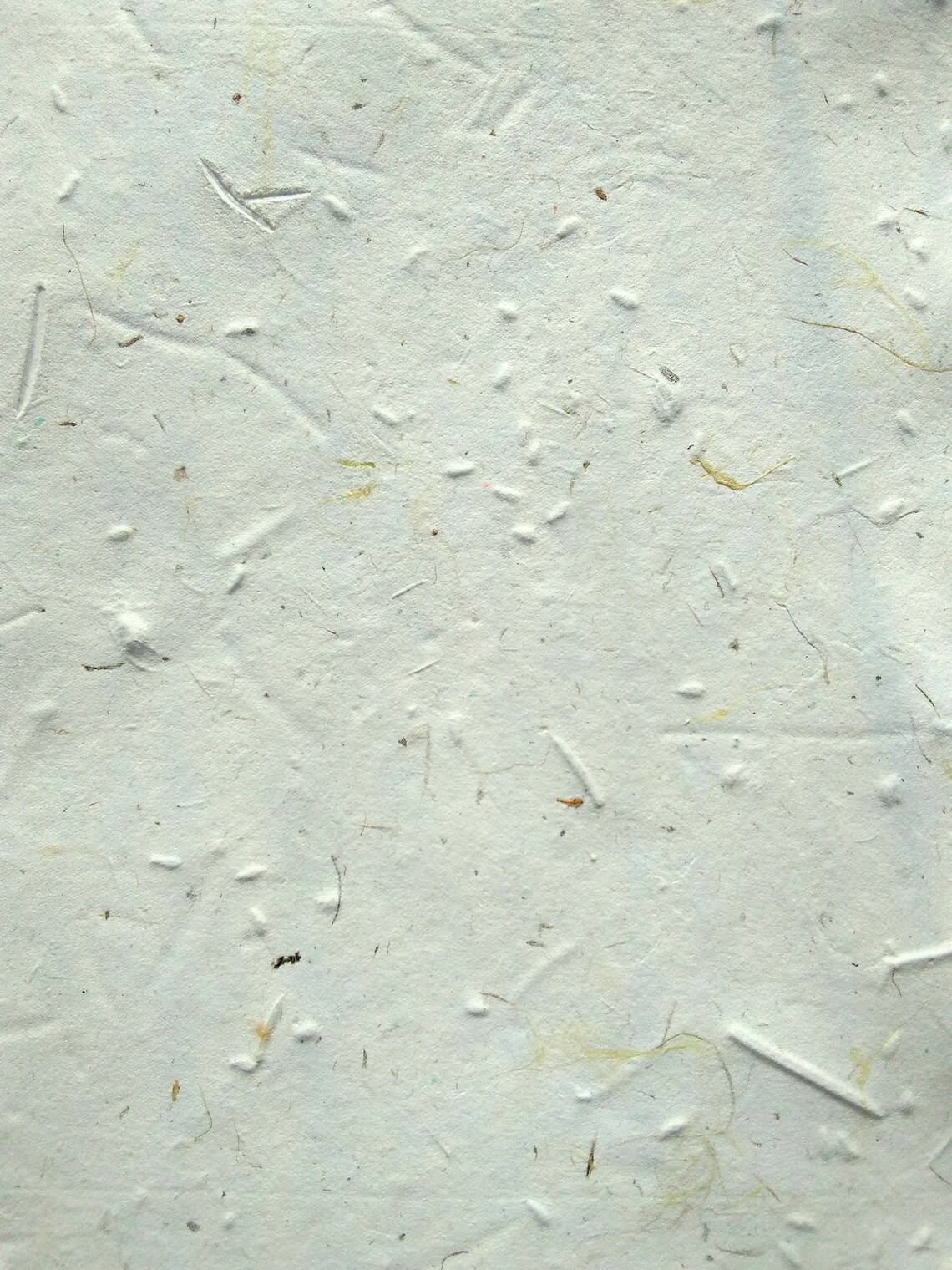 Lettuce Seed Paper, Lettuce Seeds, Handmade Paper, Seed Paper, Plant ...