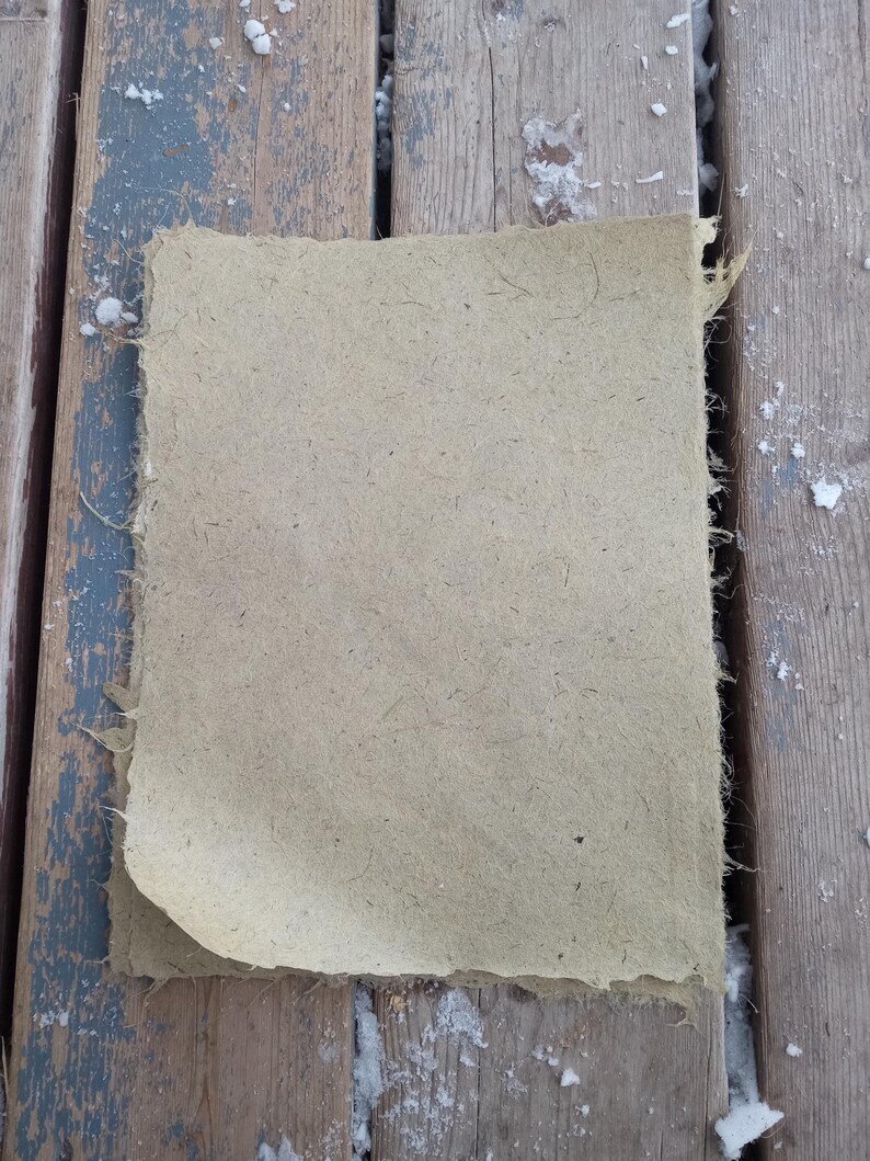 Lawn Grass Paper, Handmade Paper, Grass Paper, Handmade Paper, Plant ...