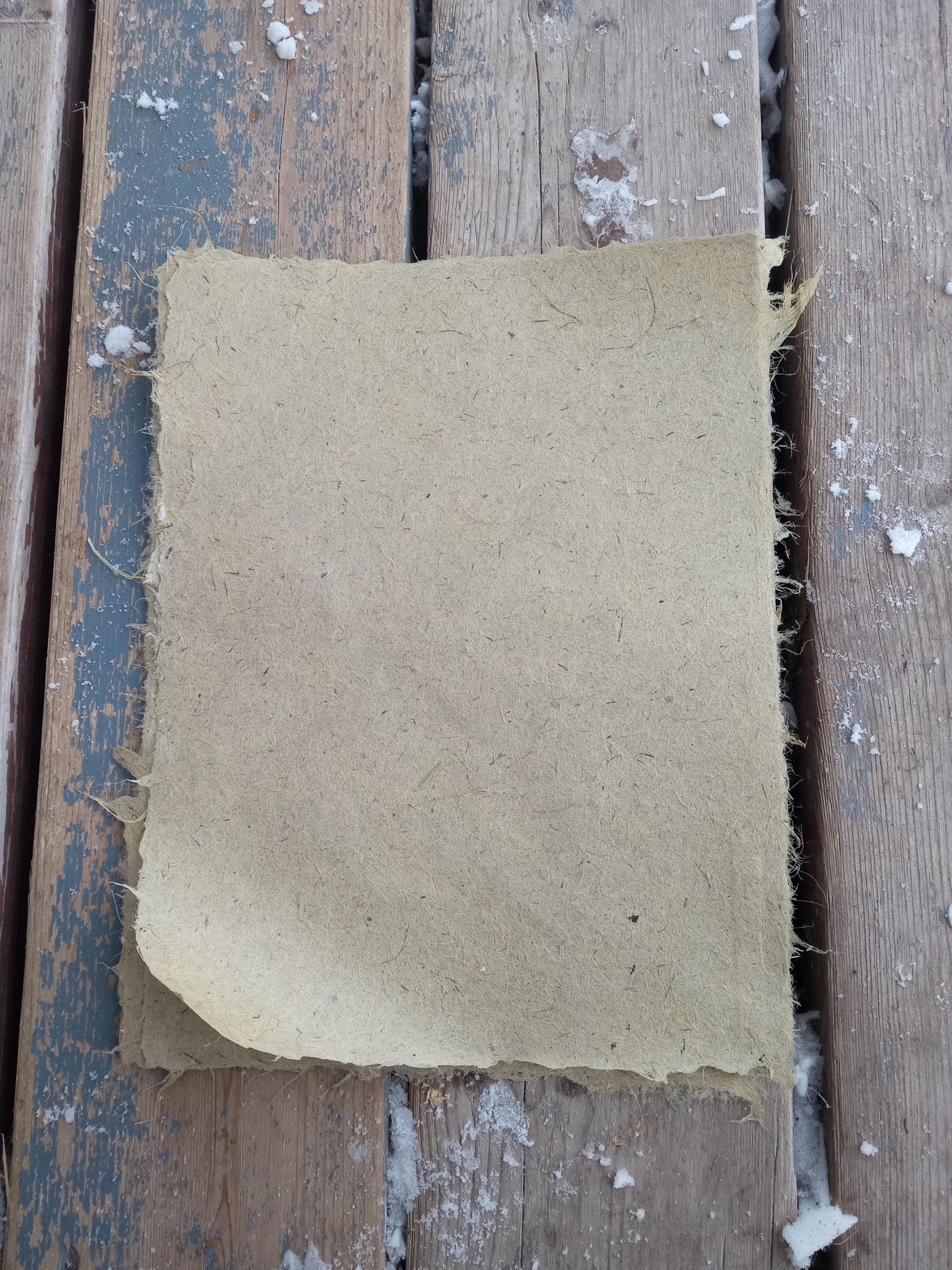 Lawn Grass Paper, Handmade Paper, Grass Paper, Handmade Paper, Plant ...