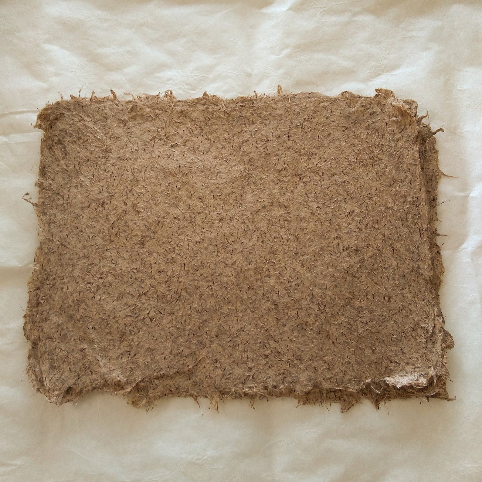 Cattail Fluff Fiber Paper, Handmade Paper, Plant Paper, Cattail Fluff ...