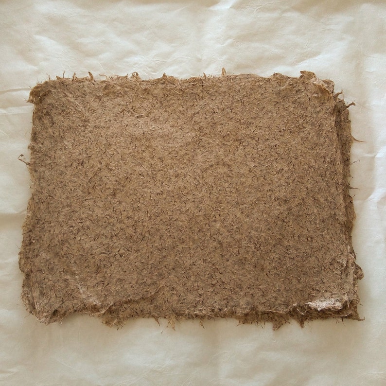 Cattail Fluff Fiber Paper, Handmade Paper, Plant Paper, Cattail Fluff ...