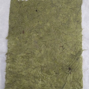 Lawn Grass Paper, Handmade Paper, Grass Paper, Handmade Paper, Plant ...