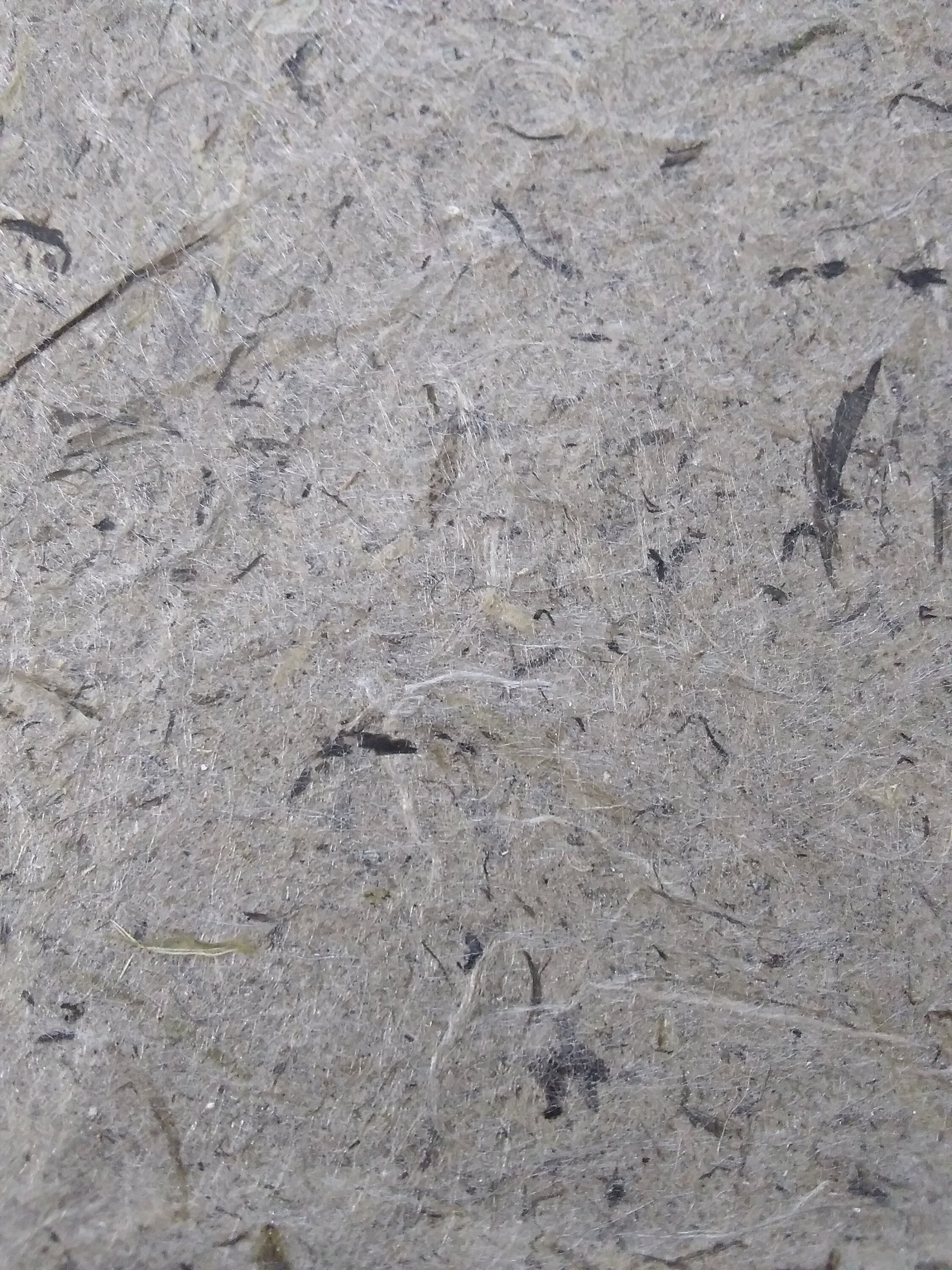 Milkweed Fiber Paper, Handmade Paper, Plant Paper, Milkweed Paper ...