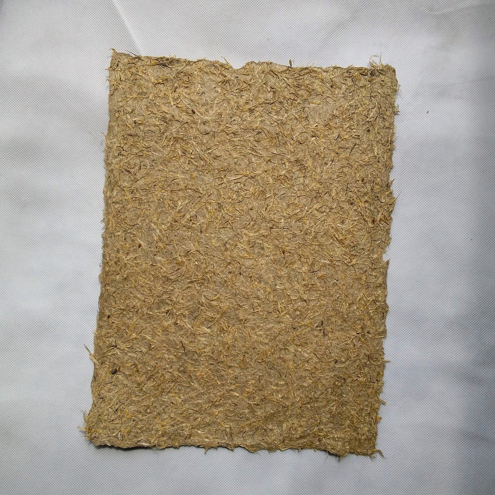 Thistle Paper Handmade Paper Plant Paper Thistle Seed Head | Etsy