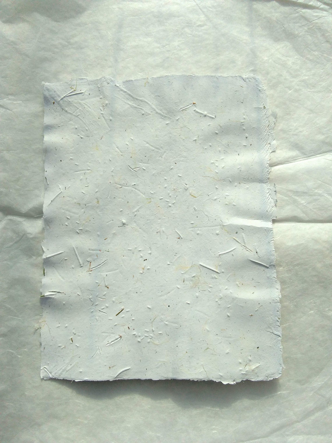 Lettuce Seed Paper, Lettuce Seeds, Handmade Paper, Seed Paper, Plant ...