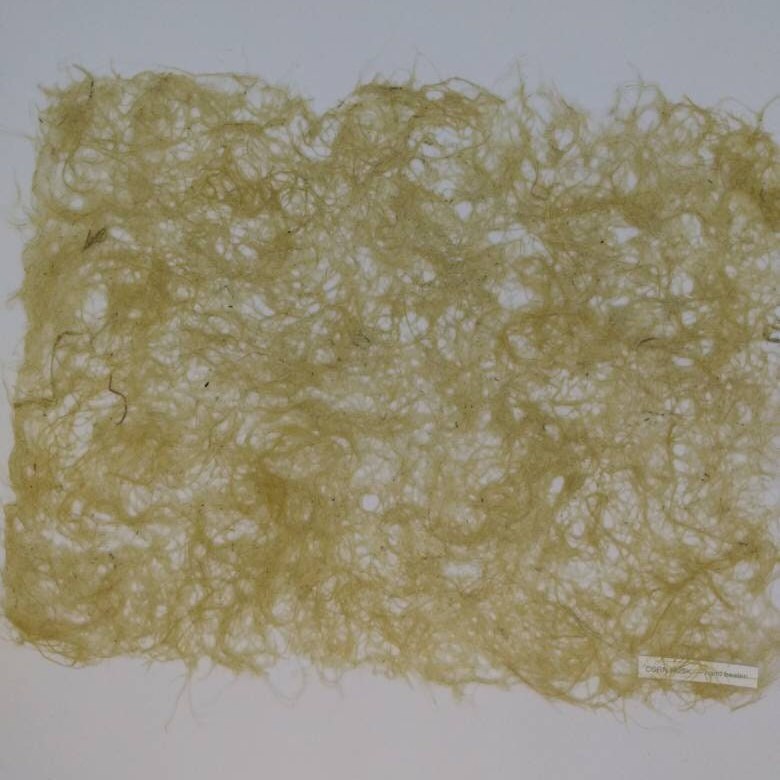 Corn Husk Paper, Handmade Paper, Plant Paper, Corn Husk Paper, Artist ...