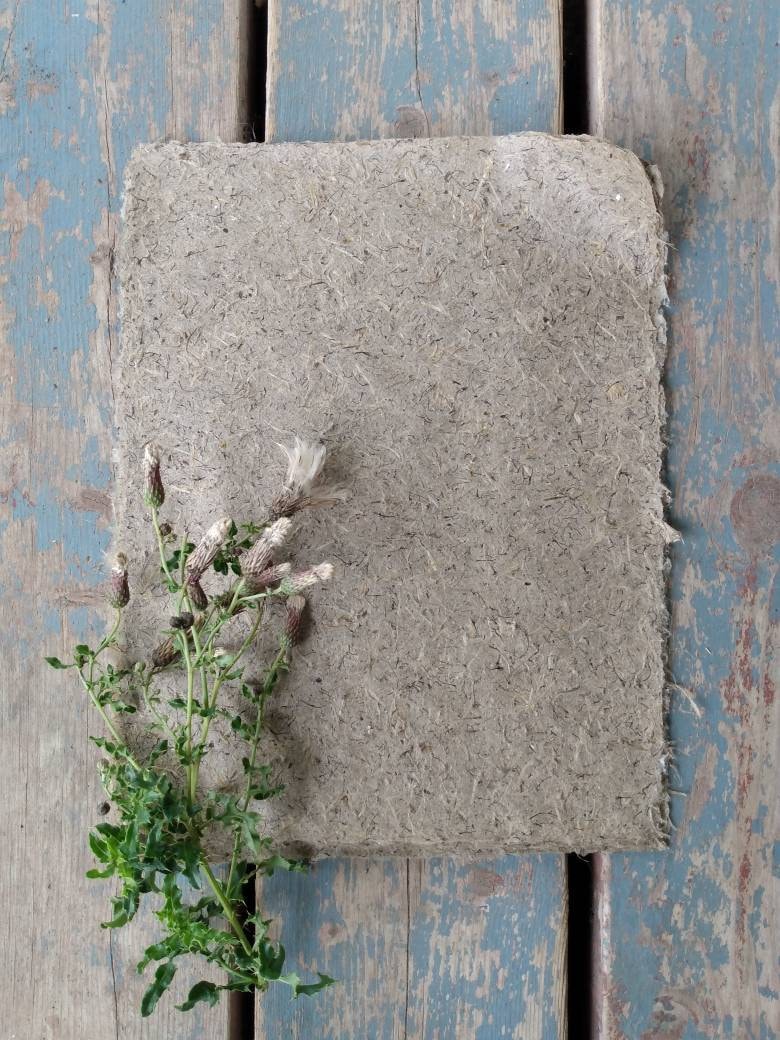 Thistle Paper, Handmade Paper, Plant Paper, Thistle Seed Head Paper ...