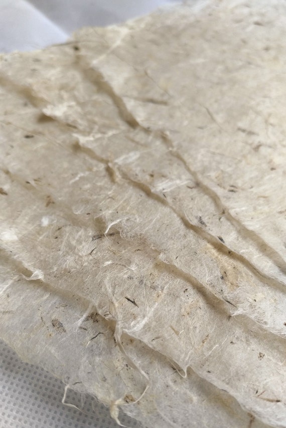 Milkweed Fiber Paper handmade paper plant paper milkweed | Etsy