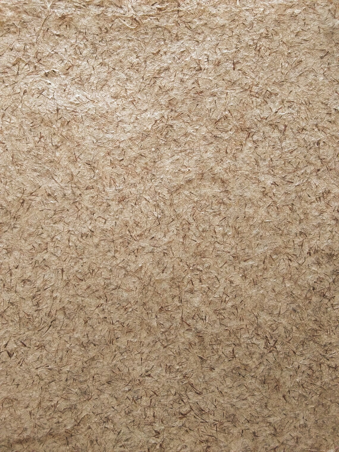 Cattail Fluff Fiber Paper, Handmade Paper, Plant Paper, Cattail Fluff ...