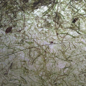 Lawn Grass Paper, Handmade Paper, Grass Paper, Handmade Paper, Plant ...