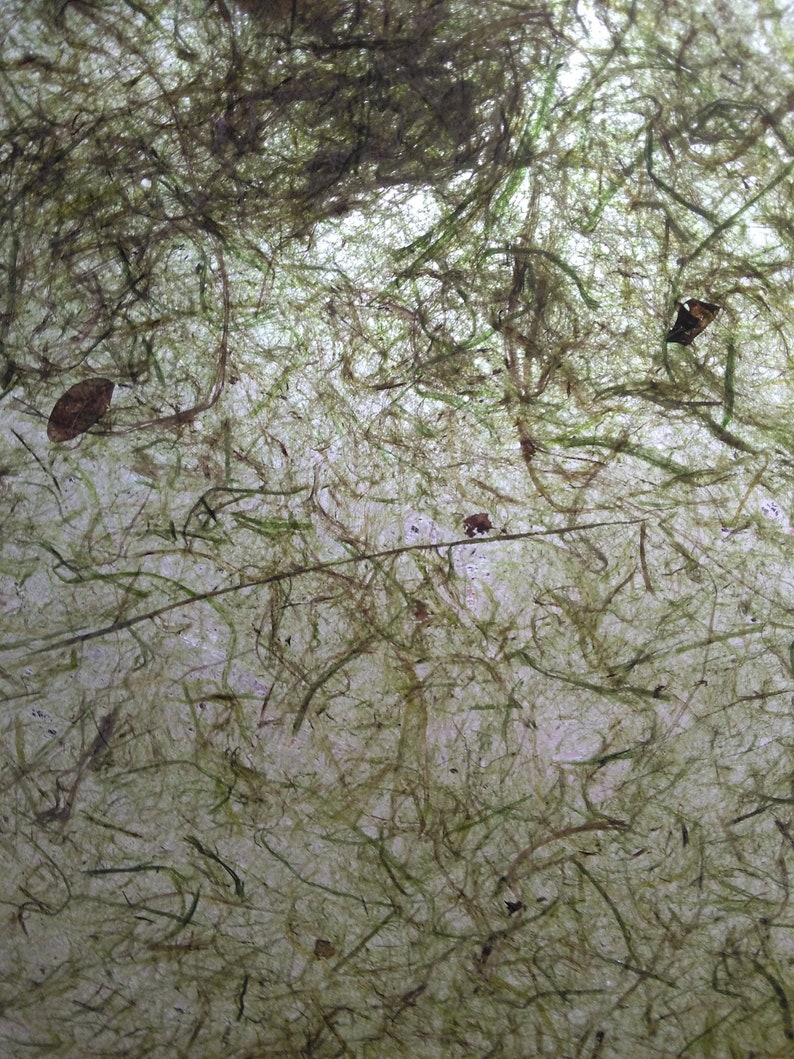 Lawn Grass Paper, Handmade Paper, Grass Paper, Handmade Paper, Plant ...