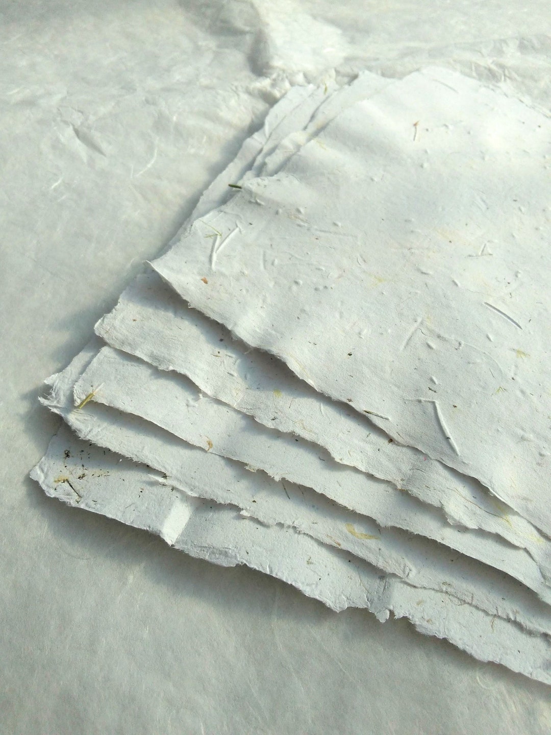 Lettuce Seed Paper, Lettuce Seeds, Handmade Paper, Seed Paper, Plant ...