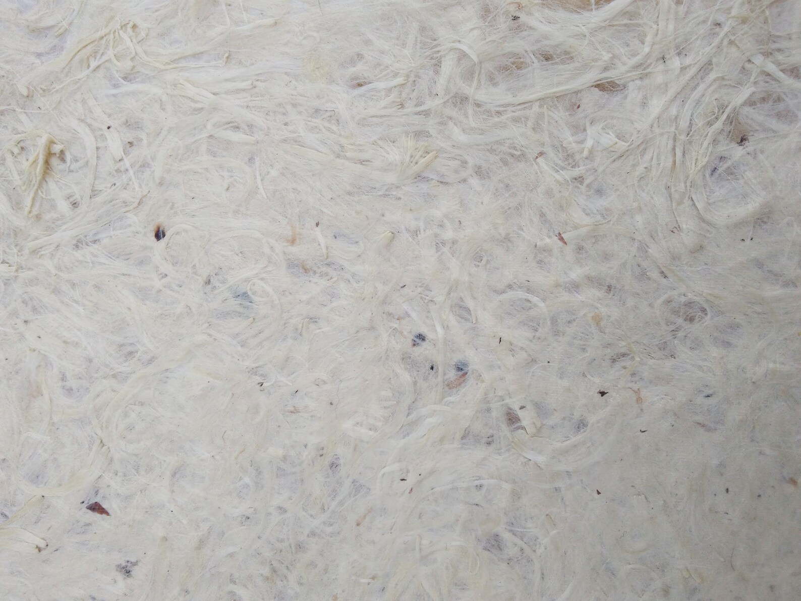 Milkweed Fluff Paper Handmade Paper Plant Paper Milkweed - Etsy