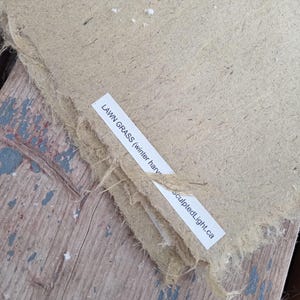 Lawn Grass Paper, Handmade Paper, Grass Paper, Handmade Paper, Plant ...
