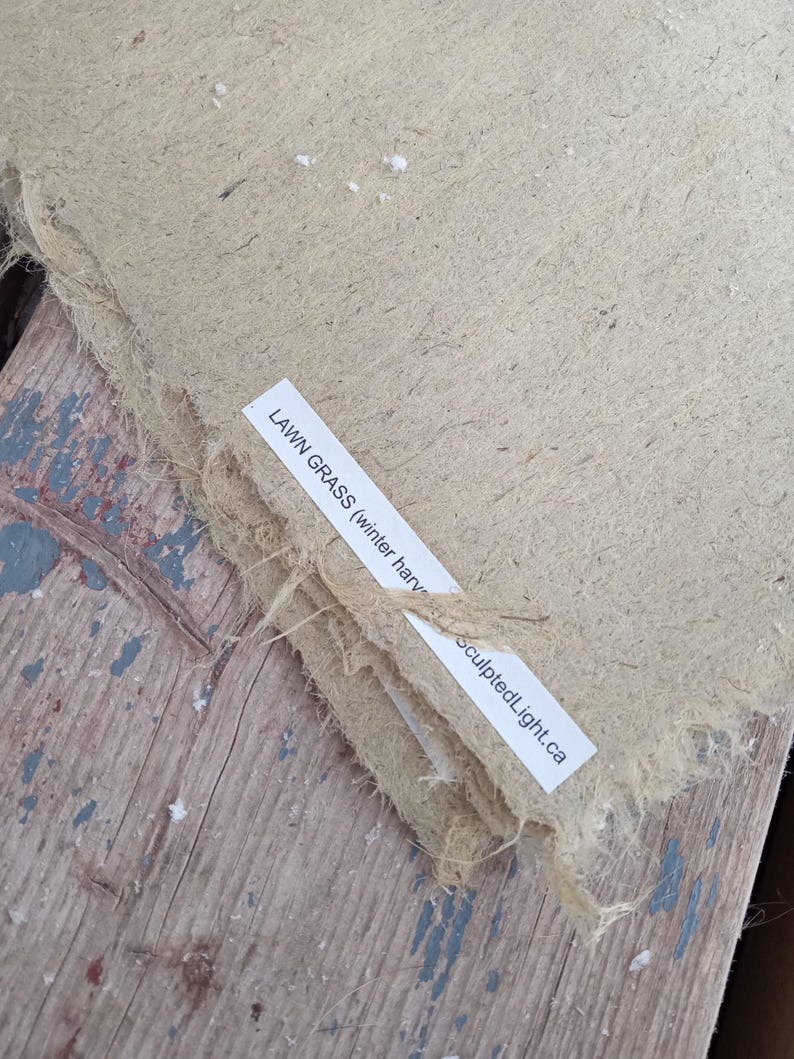 Lawn Grass Paper, Handmade Paper, Grass Paper, Handmade Paper, Plant ...