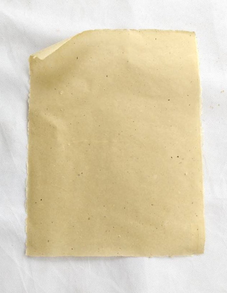 Milkweed Fluff Paper Handmade Paper Plant Paper Milkweed - Etsy