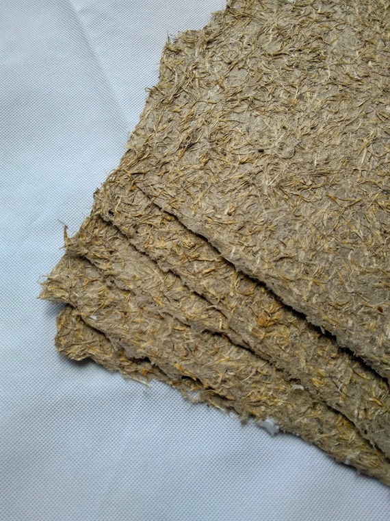 Thistle Paper Handmade Paper Plant Paper Thistle Seed Head | Etsy