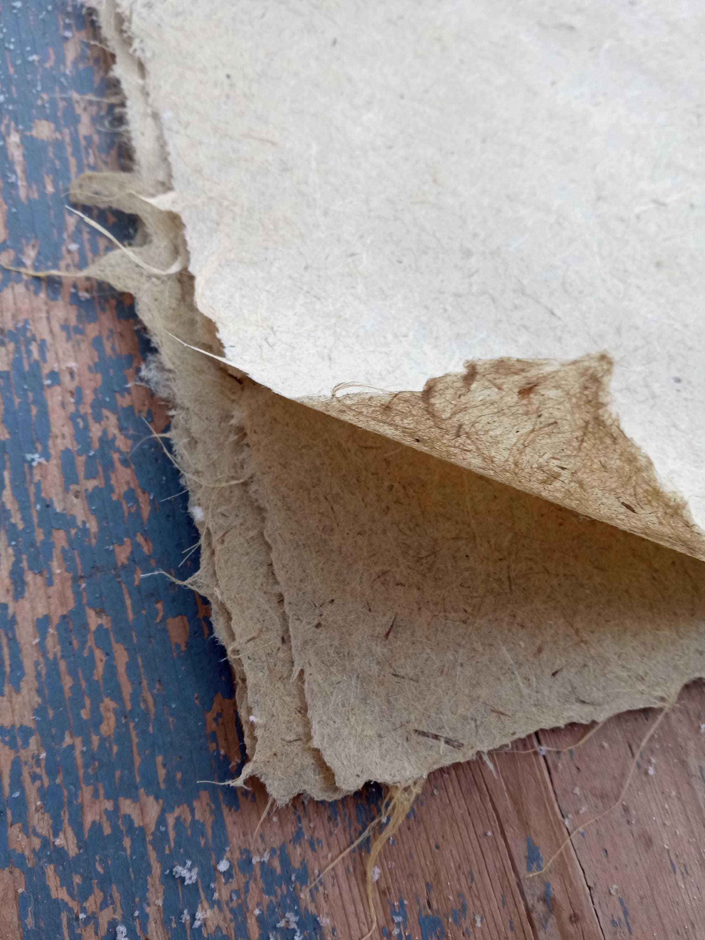 Lawn Grass Paper, Handmade Paper, Grass Paper, Handmade Paper, Plant ...