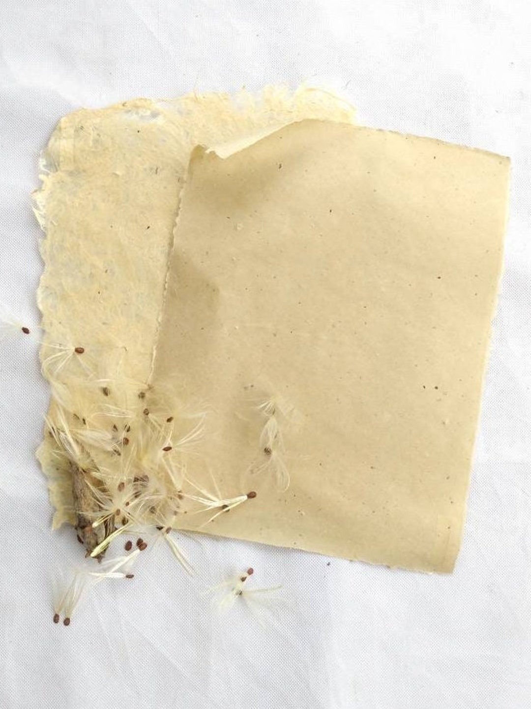 Milkweed Fluff Paper, Handmade Paper, Plant Paper, Milkweed Fluff Paper ...