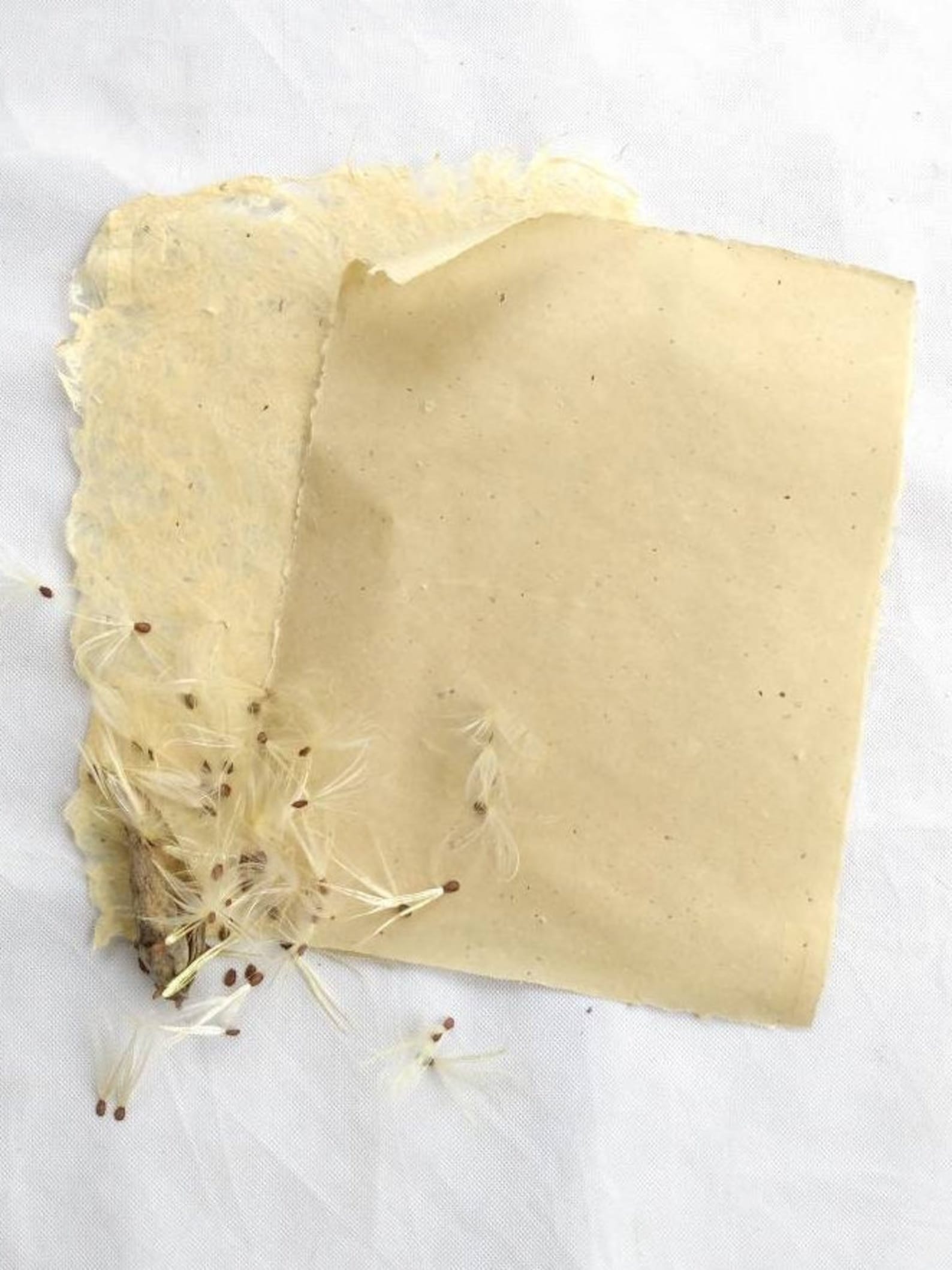 Milkweed Fluff Paper Handmade Paper Plant Paper Milkweed - Etsy
