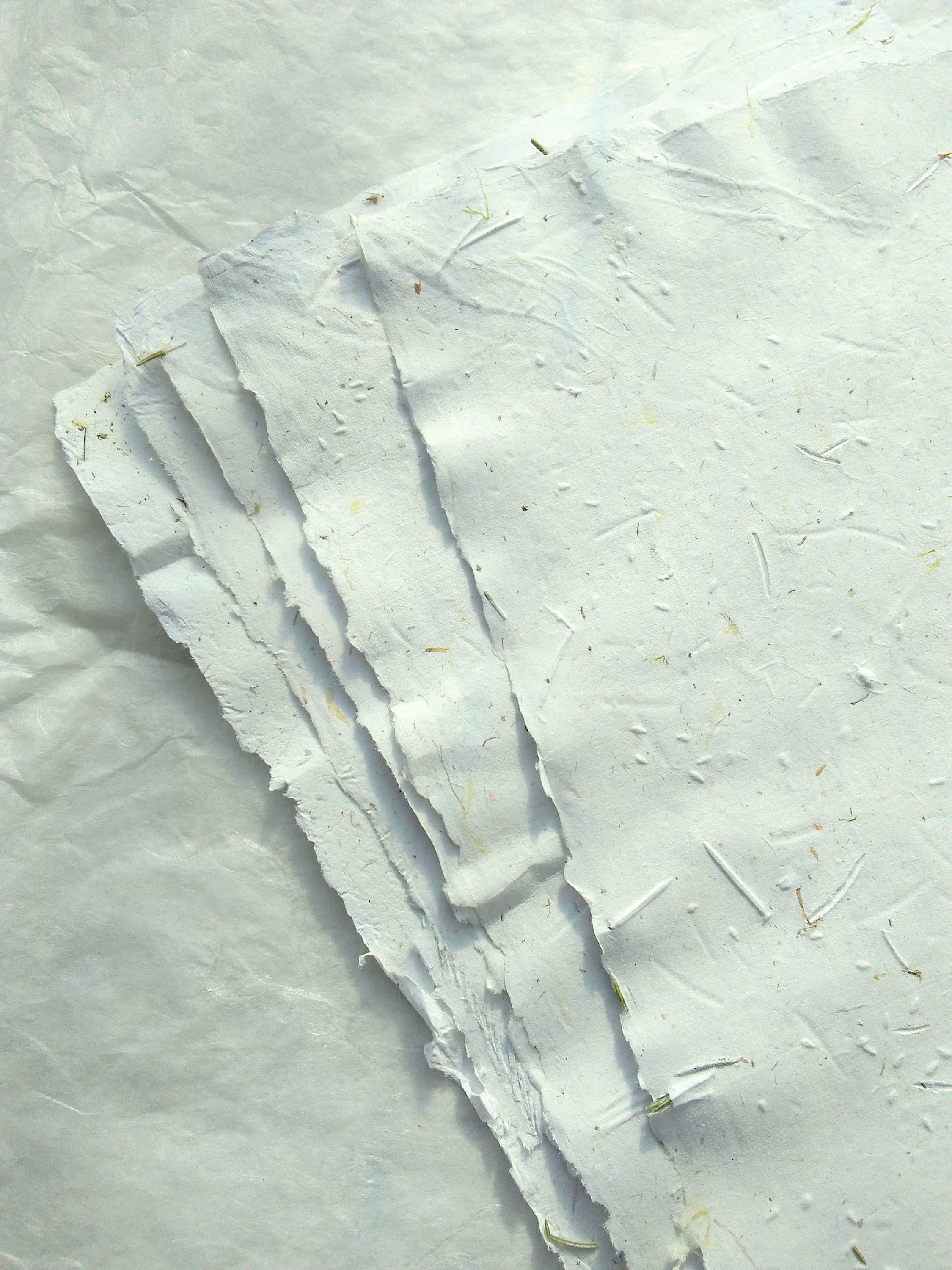 Lettuce Seed Paper, Lettuce Seeds, Handmade Paper, Seed Paper, Plant ...