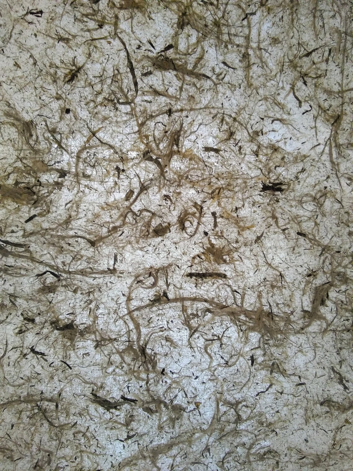 Milkweed Fiber Paper, Handmade Paper, Plant Paper, Milkweed Paper ...