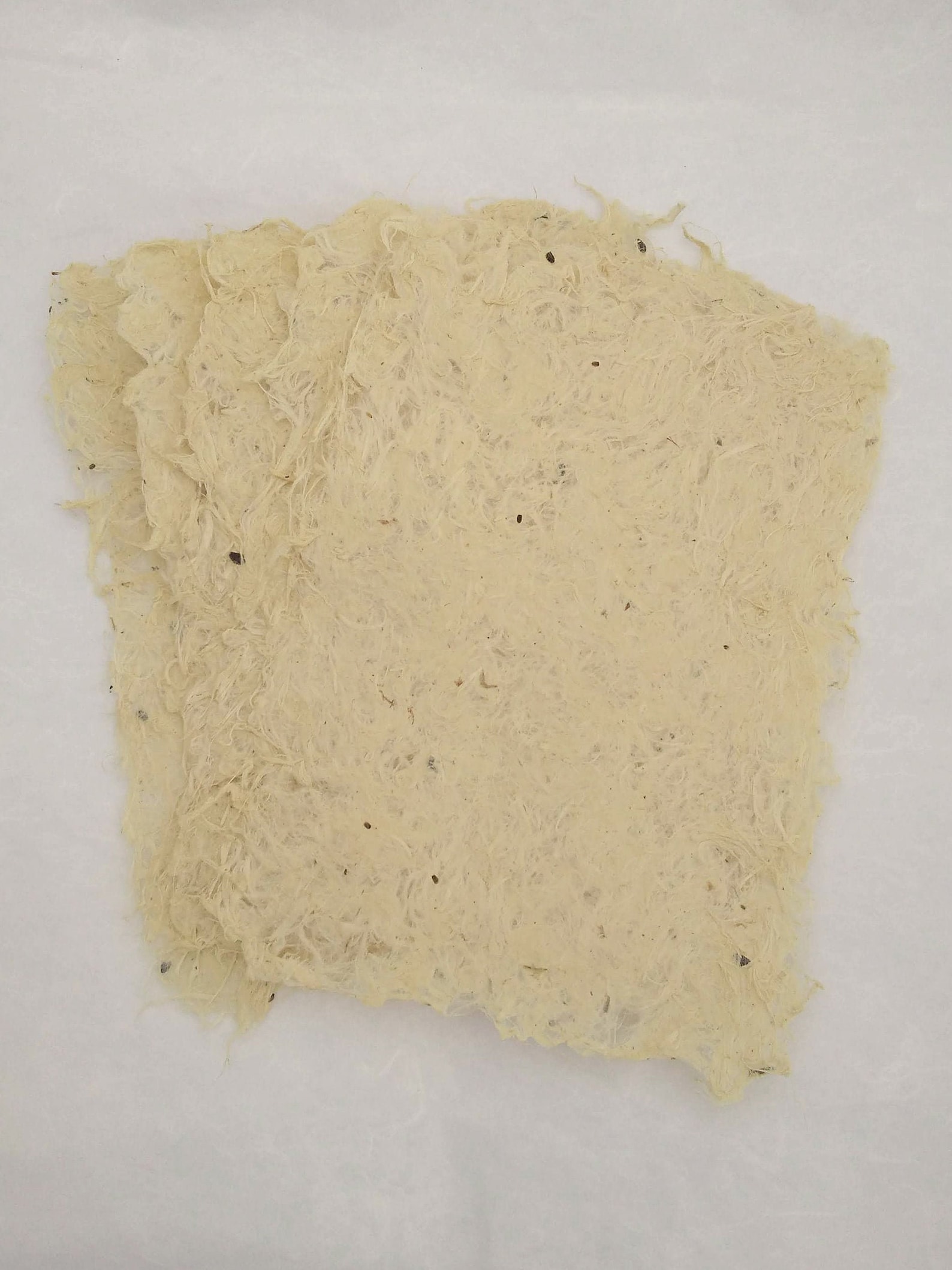 Milkweed Fluff Paper, Handmade Paper, Plant Paper, Milkweed Fluff Paper ...