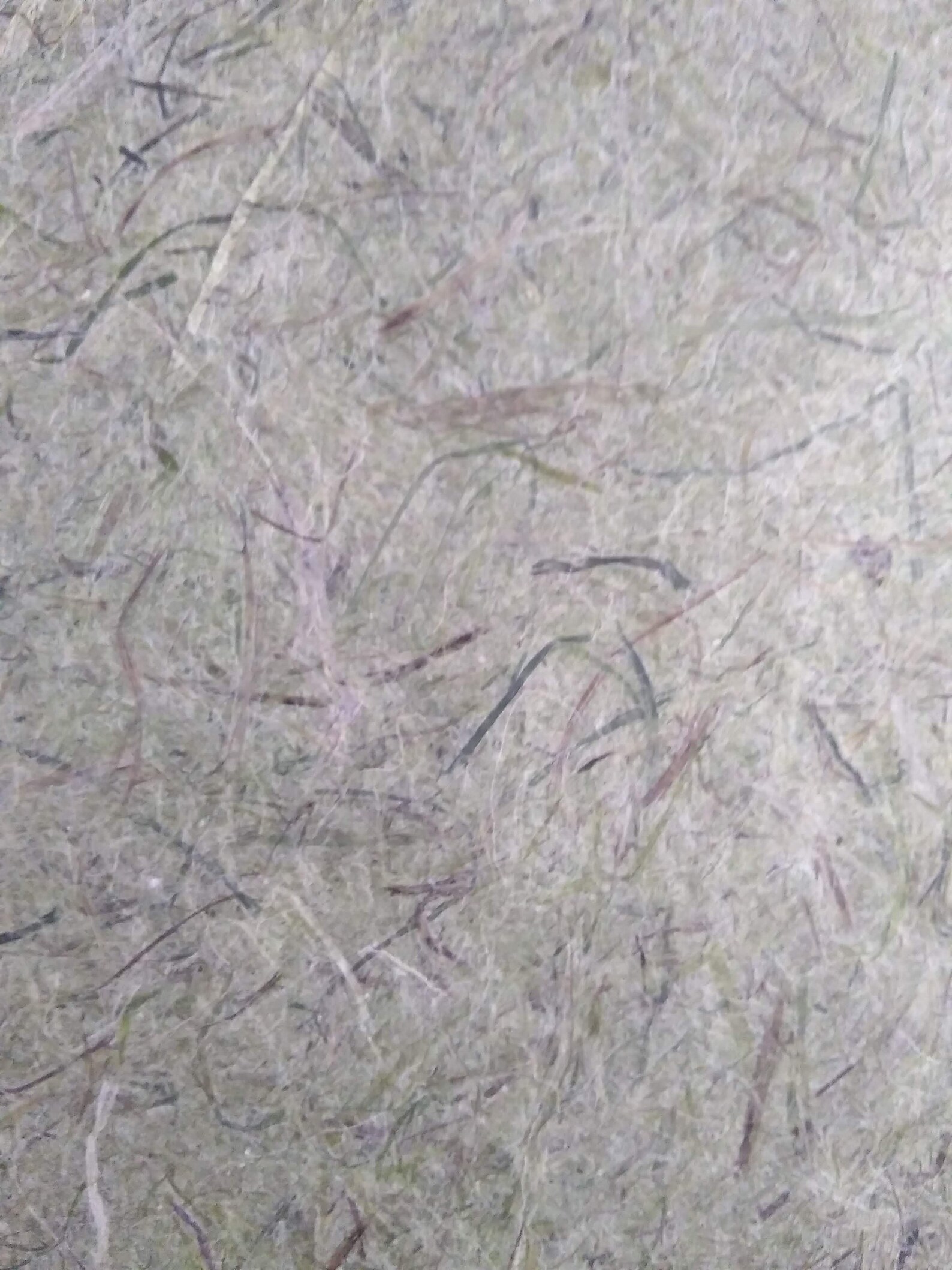 Lawn Grass Paper Handmade Paper Grass Paper Handmade Paper - Etsy