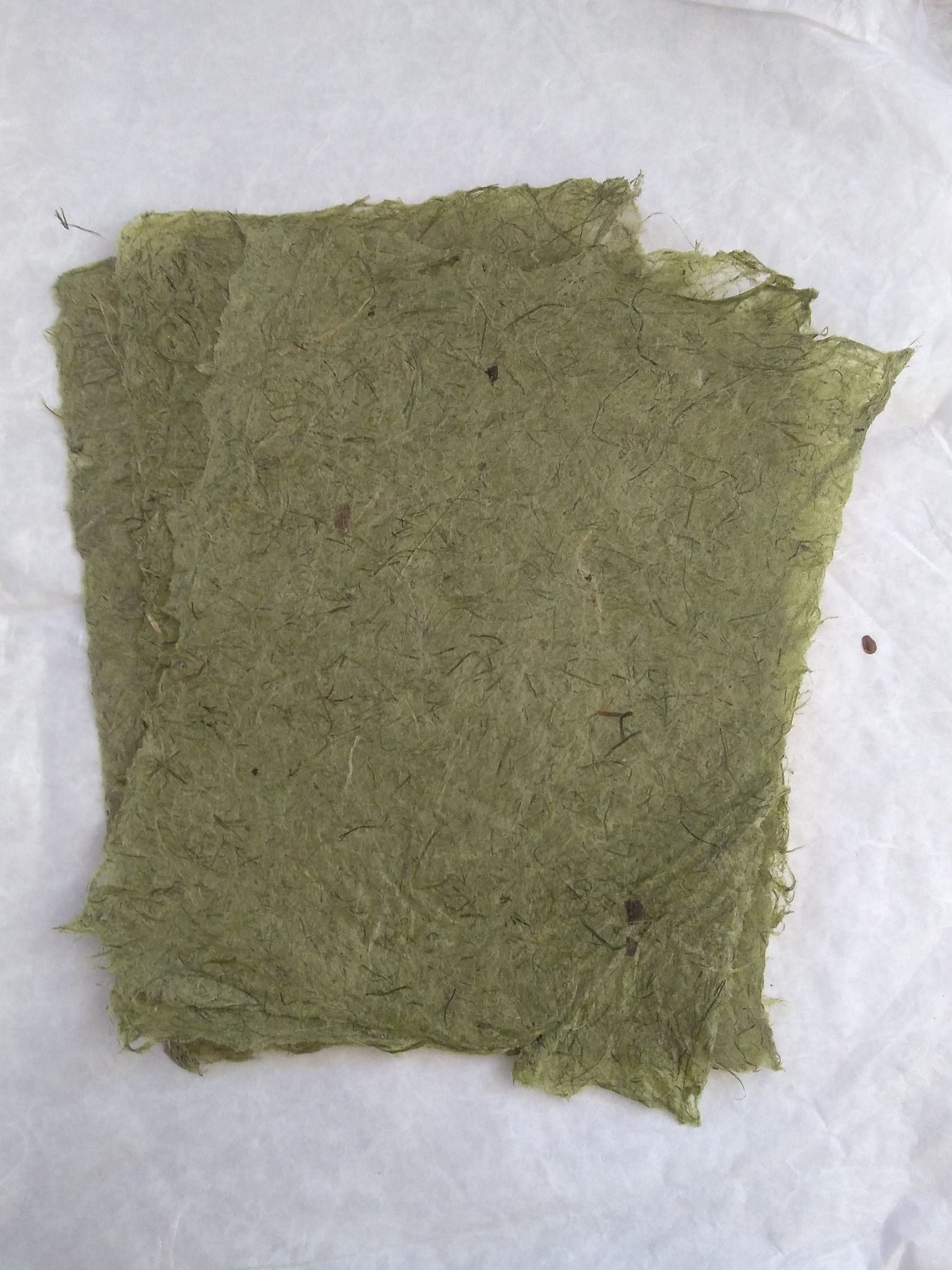 Lawn Grass Paper, Handmade Paper, Grass Paper, Handmade Paper, Plant ...