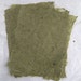Lawn Grass Paper, Handmade Paper, Grass Paper, Handmade Paper, Plant ...