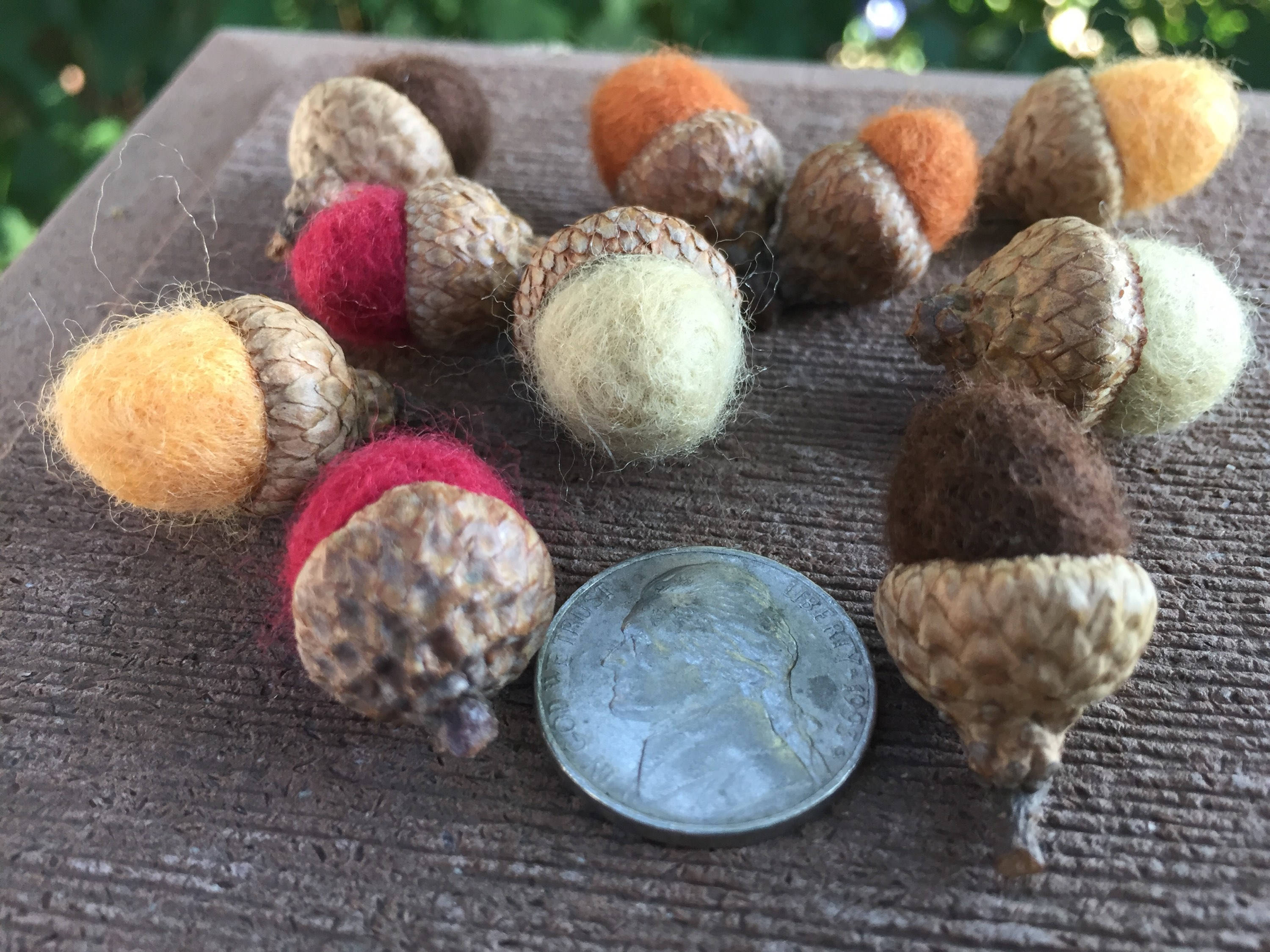 Mini Felted Acorns set of 10 Mixed Colors Natural Woodland Fall Season ...