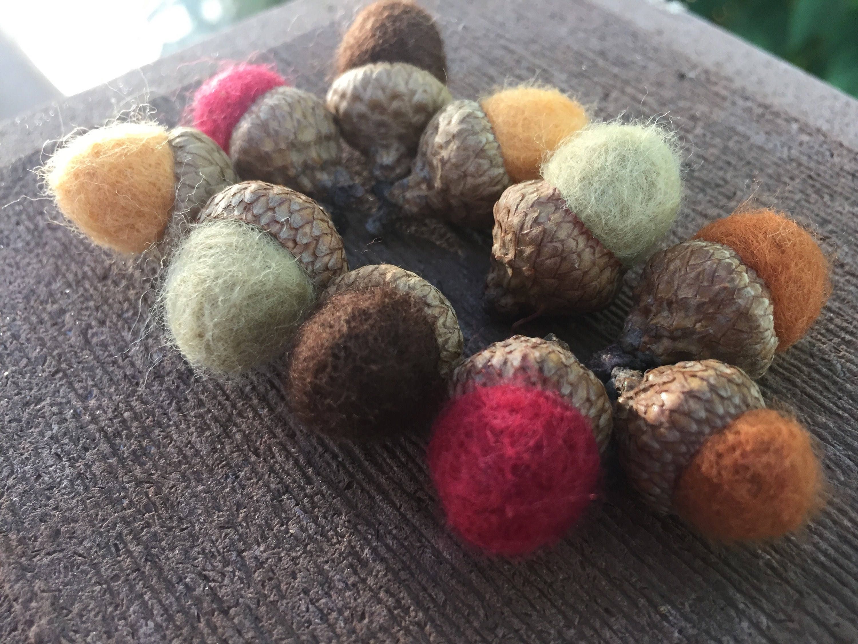 Mini Felted Acorns set of 10 Mixed Colors Natural Woodland Fall Season ...