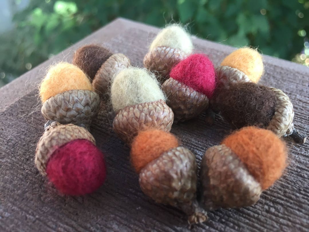 Mini Felted Acorns set of 10 Mixed Colors Natural Woodland Fall Season ...