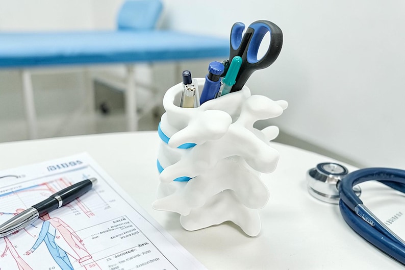 Spinal Vertebrae Pen & Pencil Holder | Medical Desk Organizer | Doctor ...