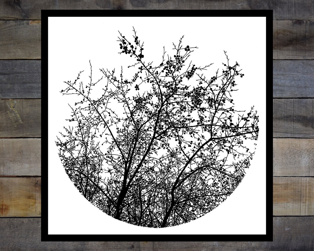 Time Forgot - Tree Silhouette 12.5x12.5in Screen Print - Etsy