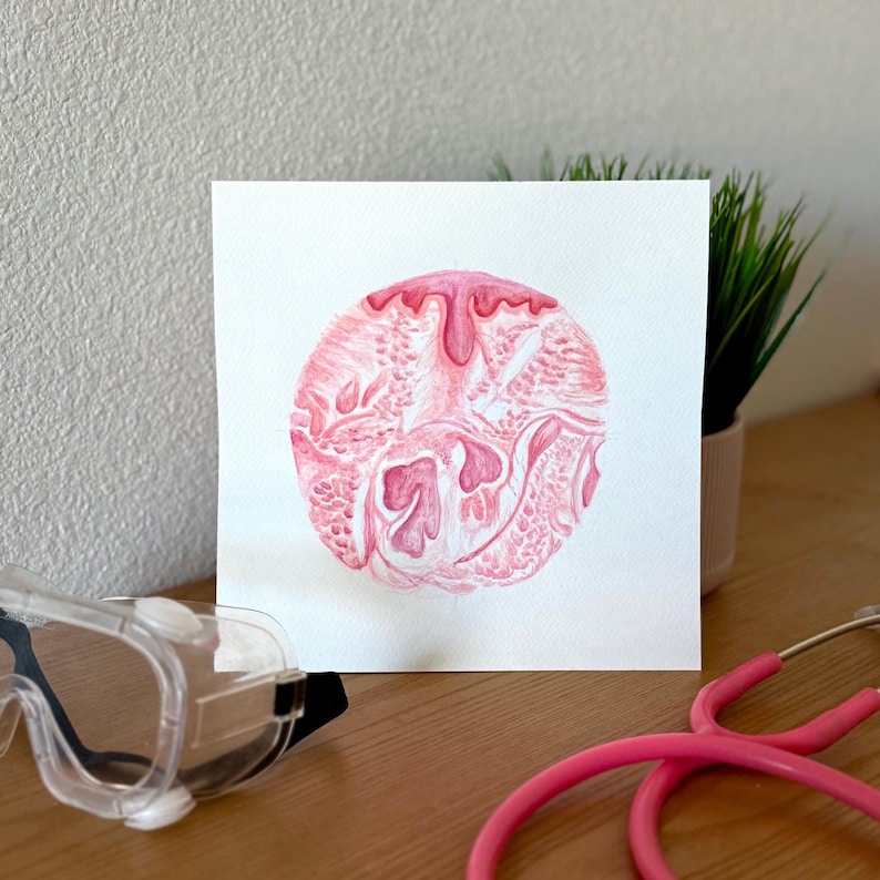Watercoloring - Pink Anatomy Skin Microscopic View - Etsy