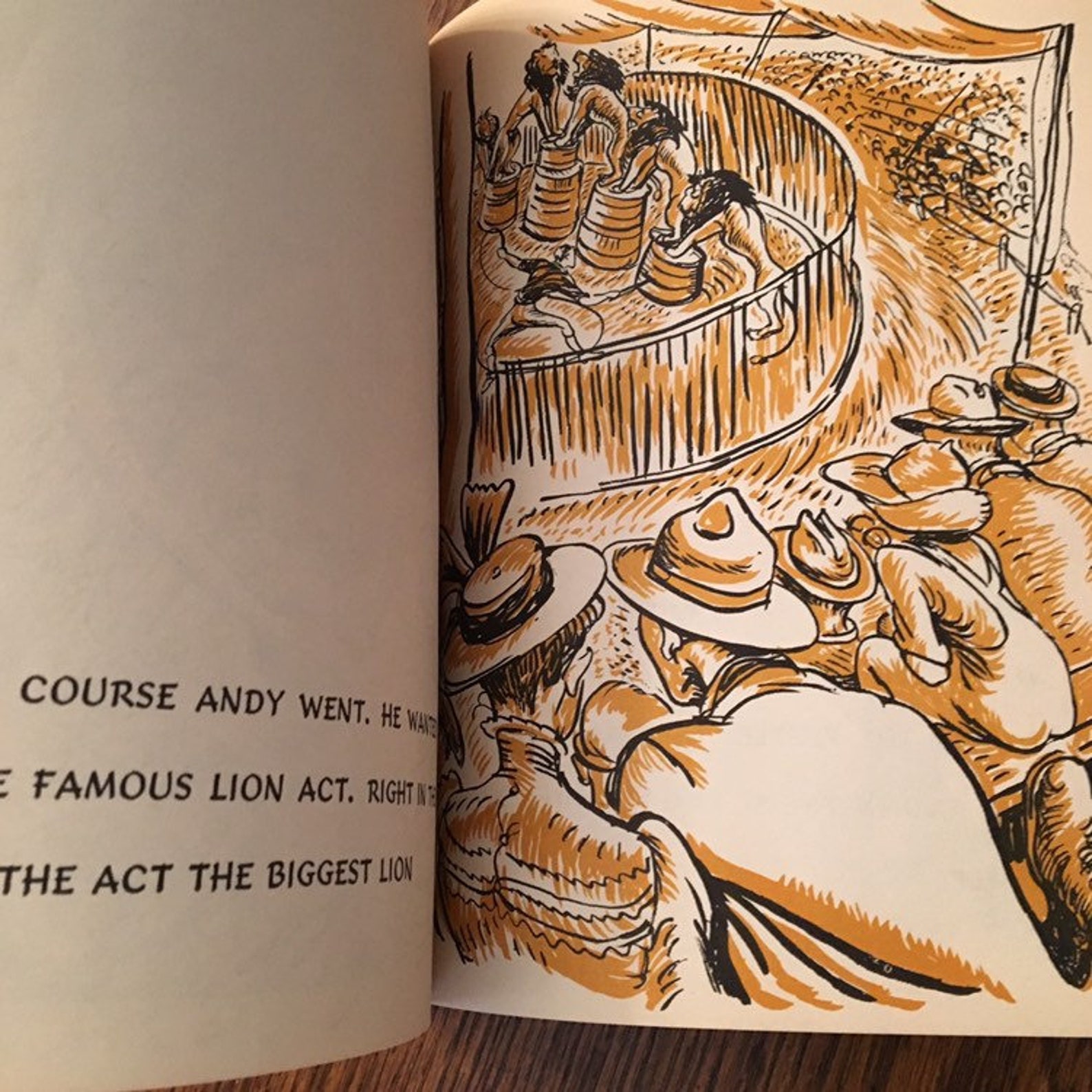 Andy and the Lion Vintage Book 1970 Vintage Children's Book Andy and ...