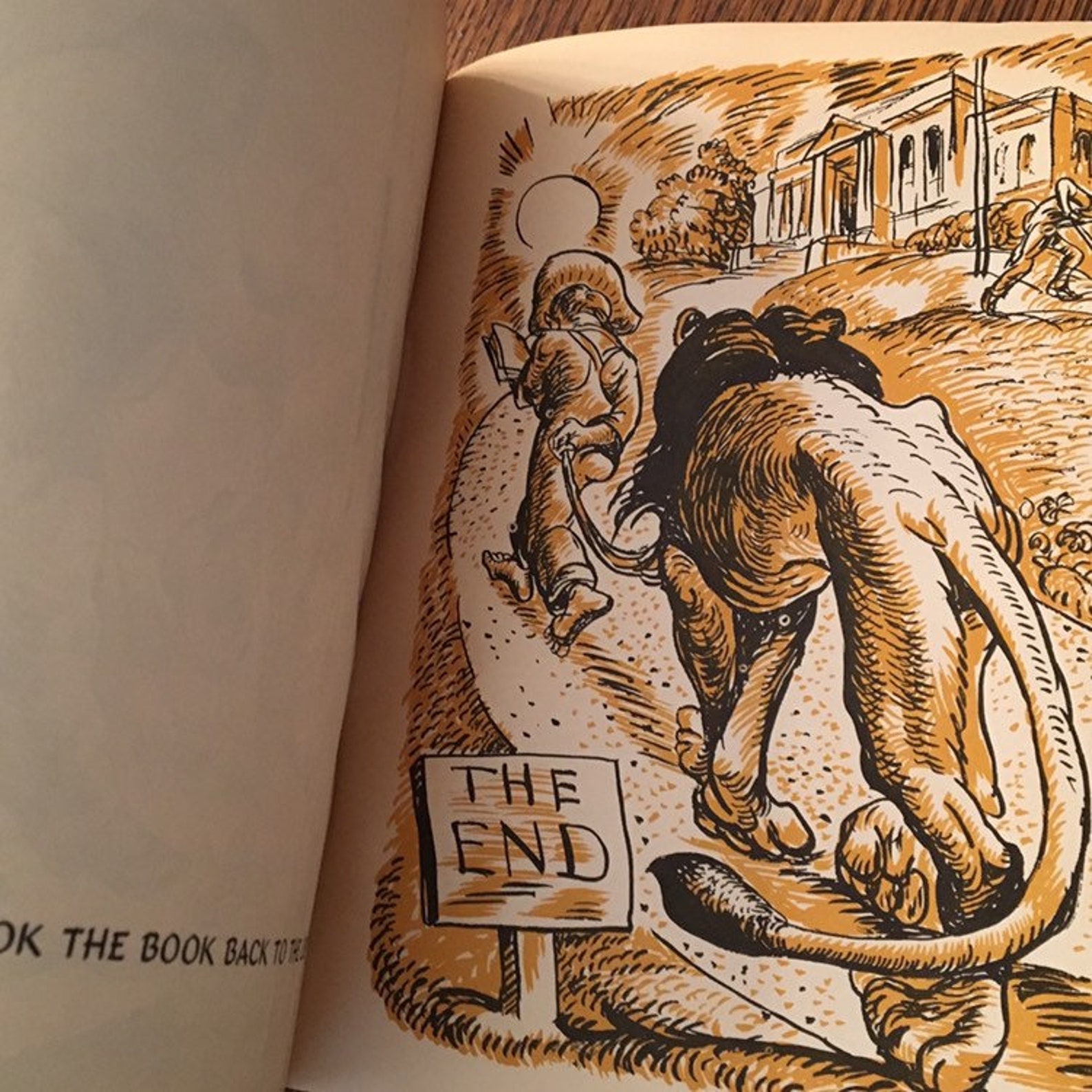 Andy and the Lion Vintage Book 1970 Vintage Children's Book Andy and ...