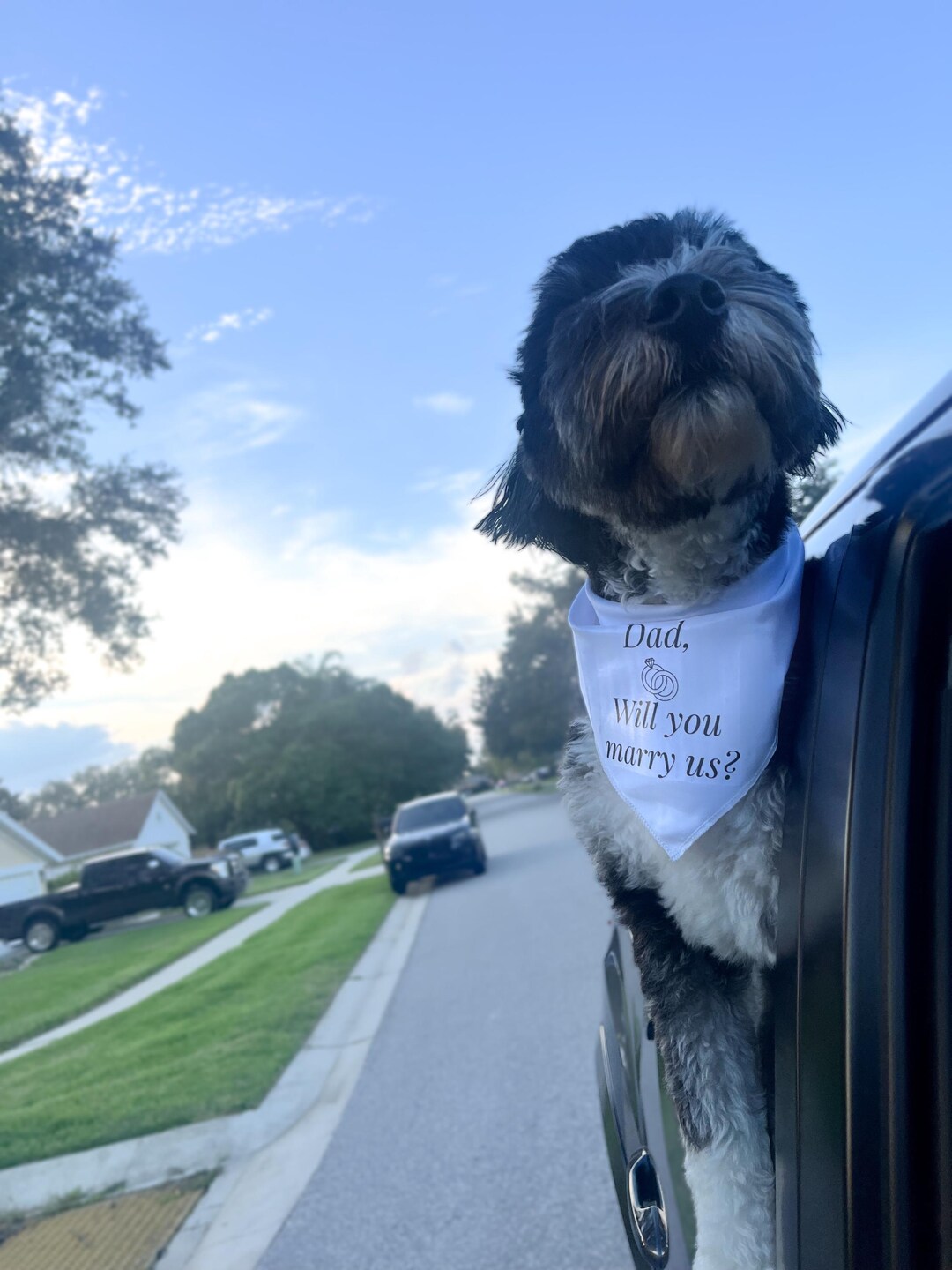 Officiant Proposal Dog Bandanna – ‘dad, Will You Marry Us ...