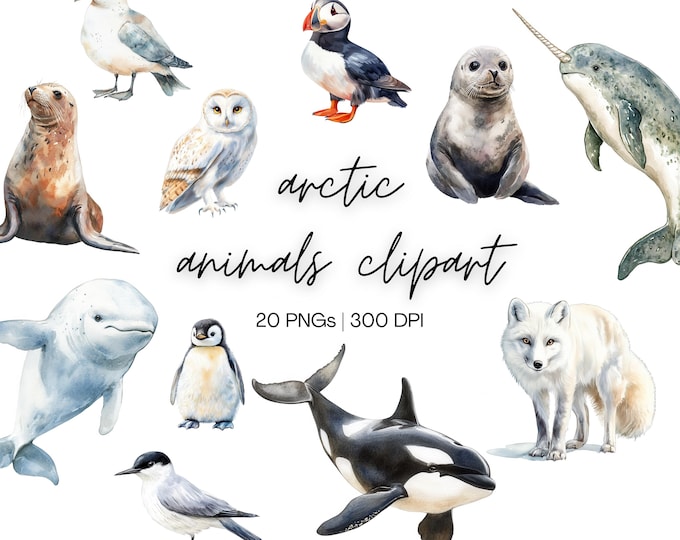 Arctic Animal Faces Clipart | Penguin | Seal | Polar Bear | Wolf - Etsy ...
