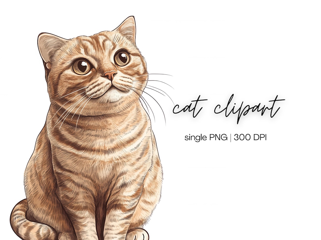 Ginger Cat Clipart | Watercolor Cat Clipart, Orange Cat Clipart, Cat ...