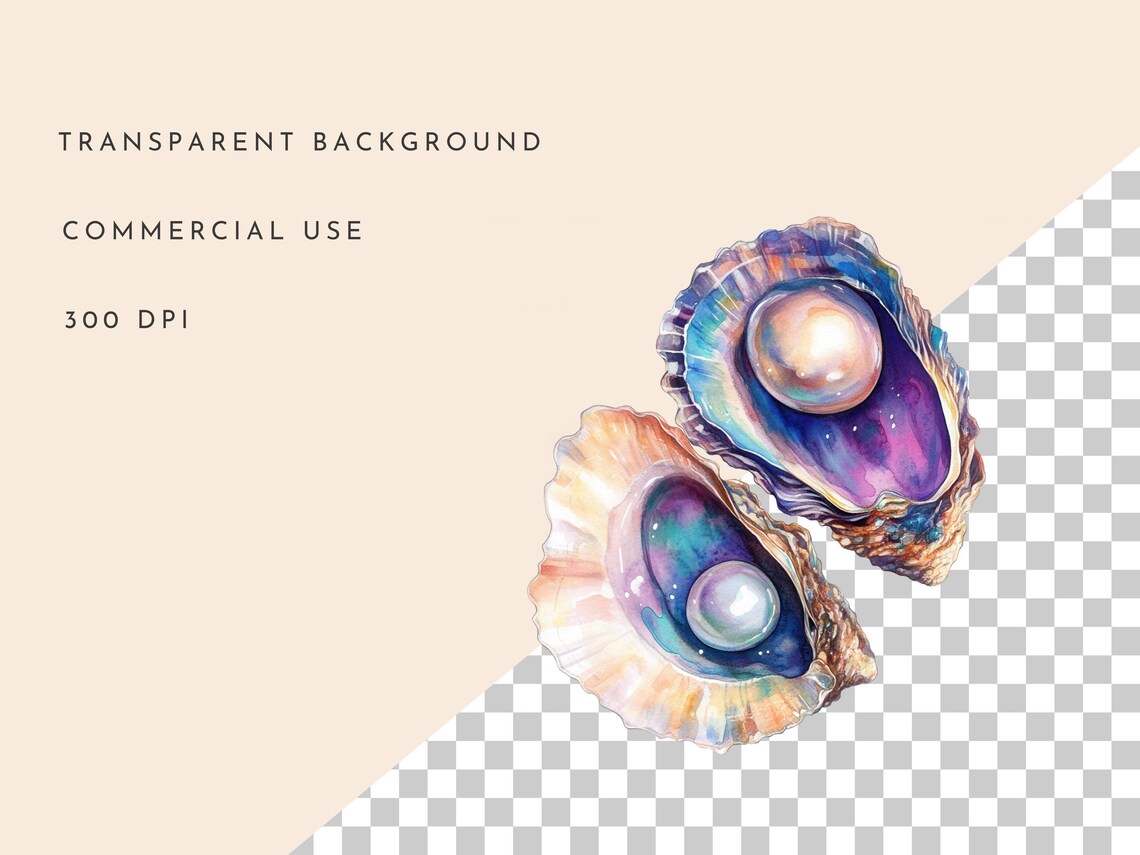 Oyster and Pearl Clipart Bundle | Sea Life Clipart, Watercolor Clipart ...