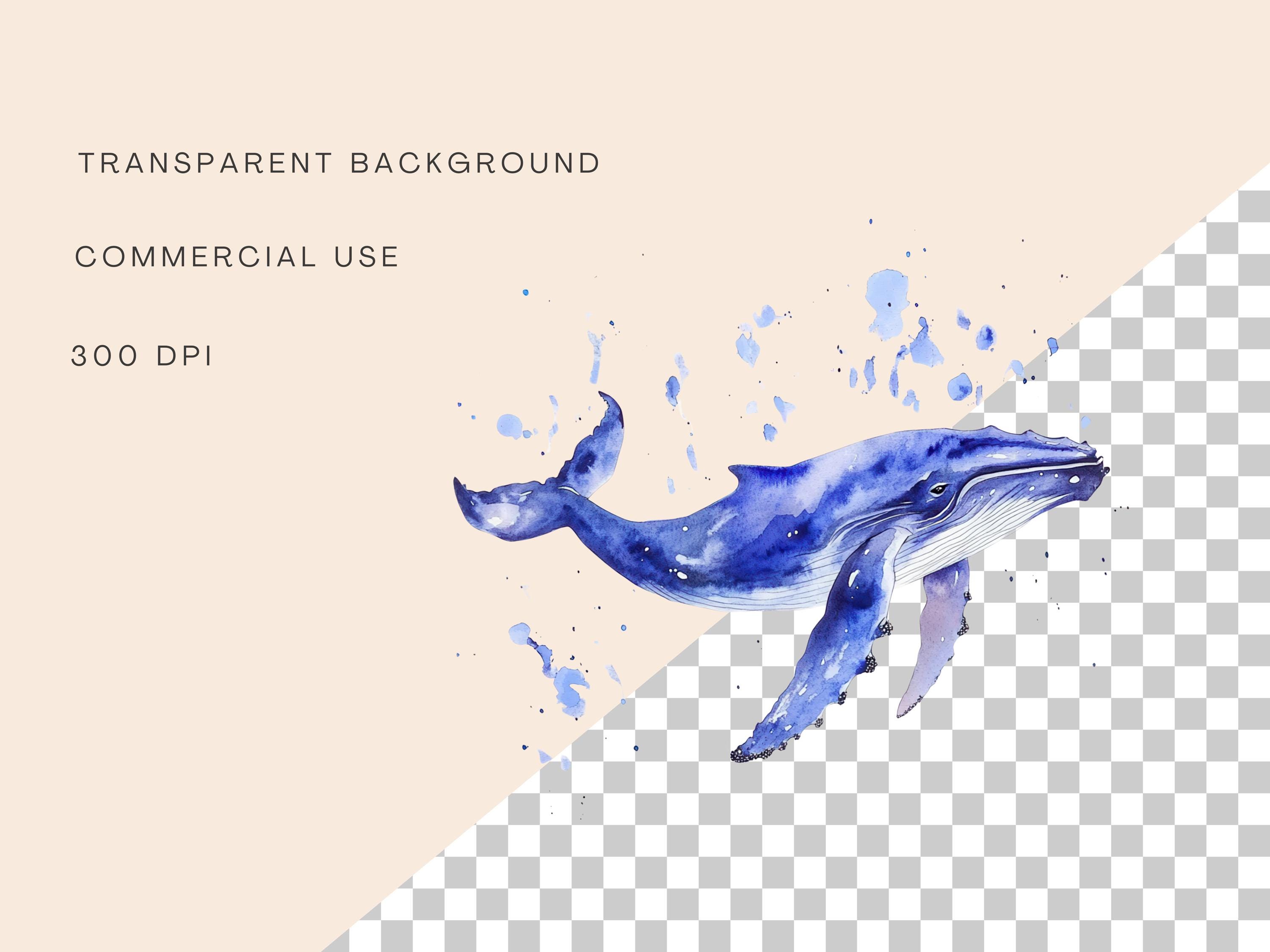 Humpback Whale Clipart | Humpback Whale PNG, Watercolor Whales, SVG ...
