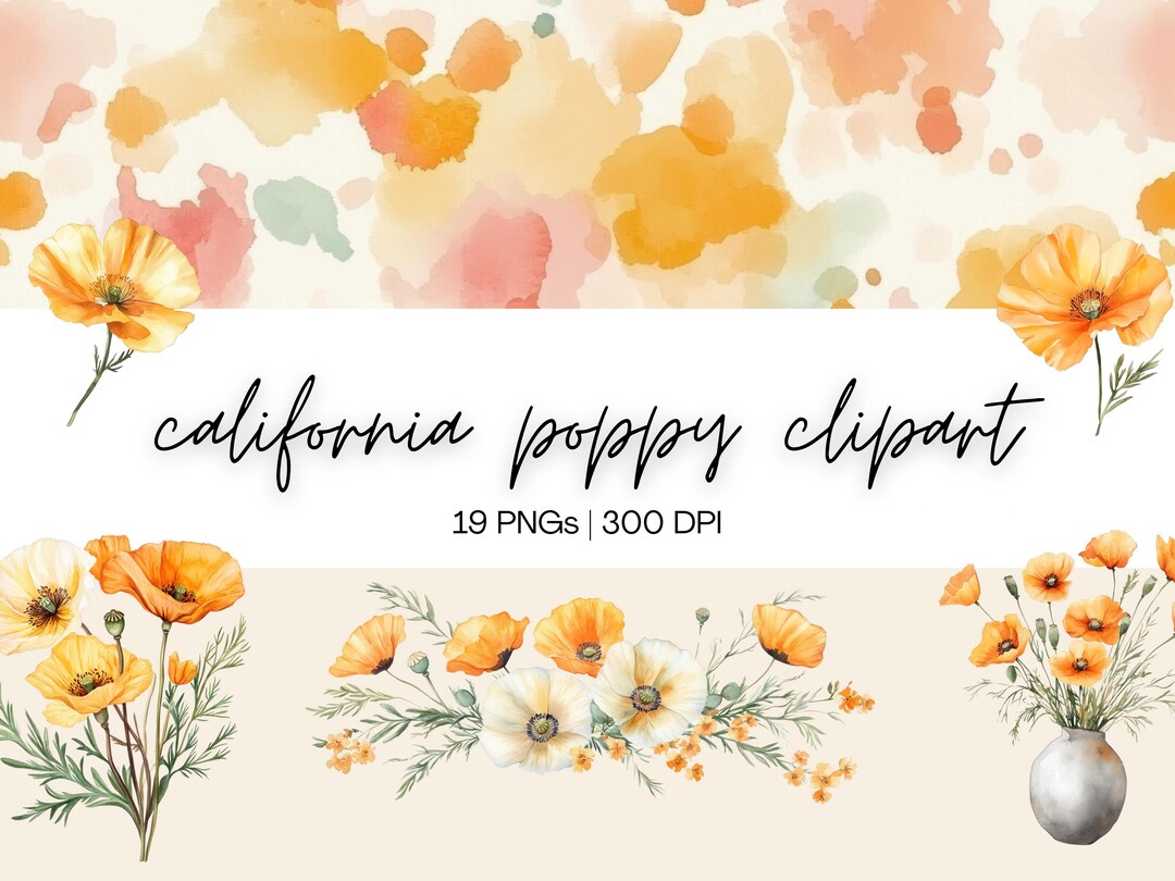 California Poppy Clipart | Watercolor Clipart, Watercolor Poppy, Poppy ...