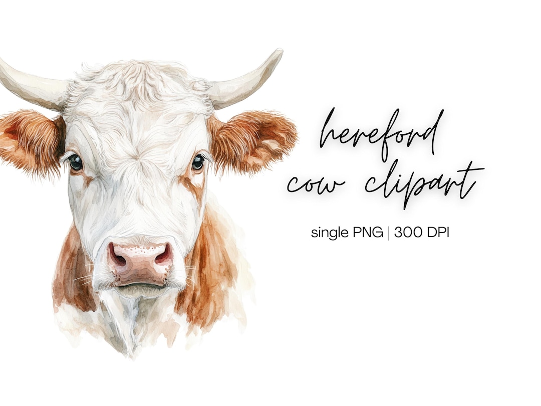 Hereford Cow Clipart | Western Cow Png, Hereford Cow Png, Farm Animal ...