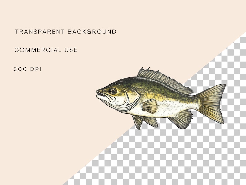 Fish Clipart Bundle | Fishing Clipart, Lake Fish Clipart, Fish ...