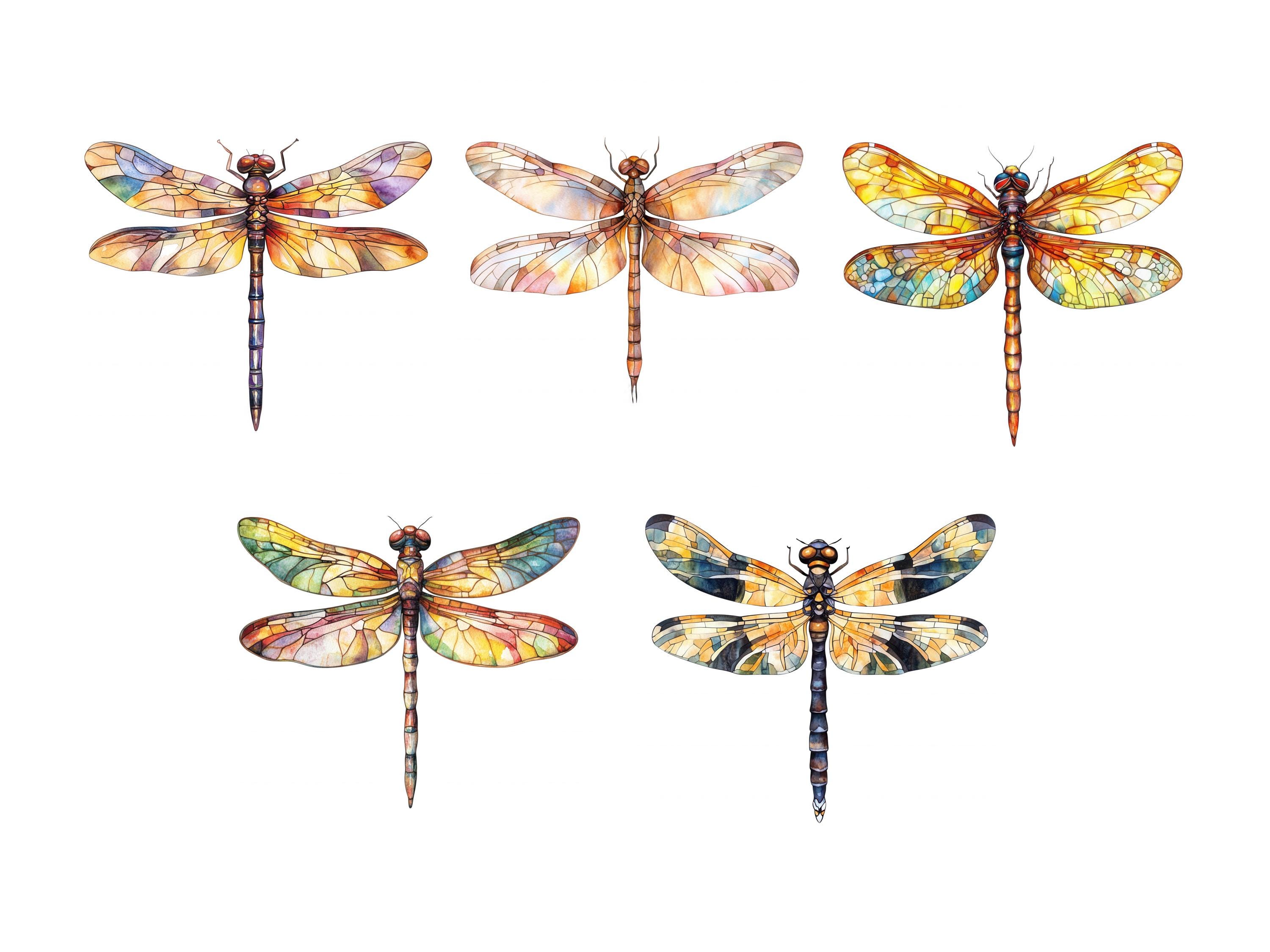 Dragonfly Stained Glass Clipart Bundle | Dragonfly Clipart, Stained ...
