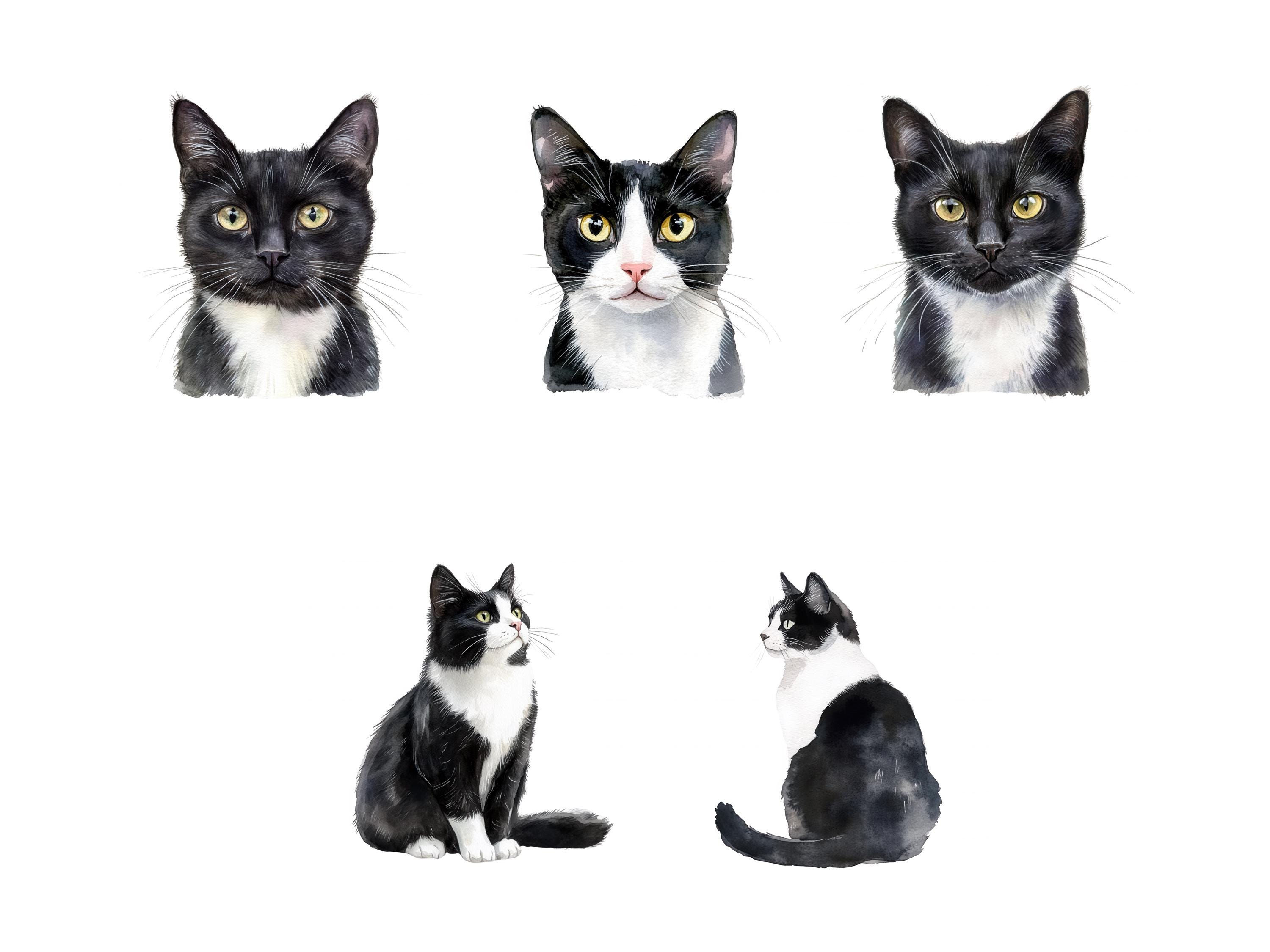 Tuxedo Cat Clipart | Black and White Cat, Watercolor Cat, Kitten ...