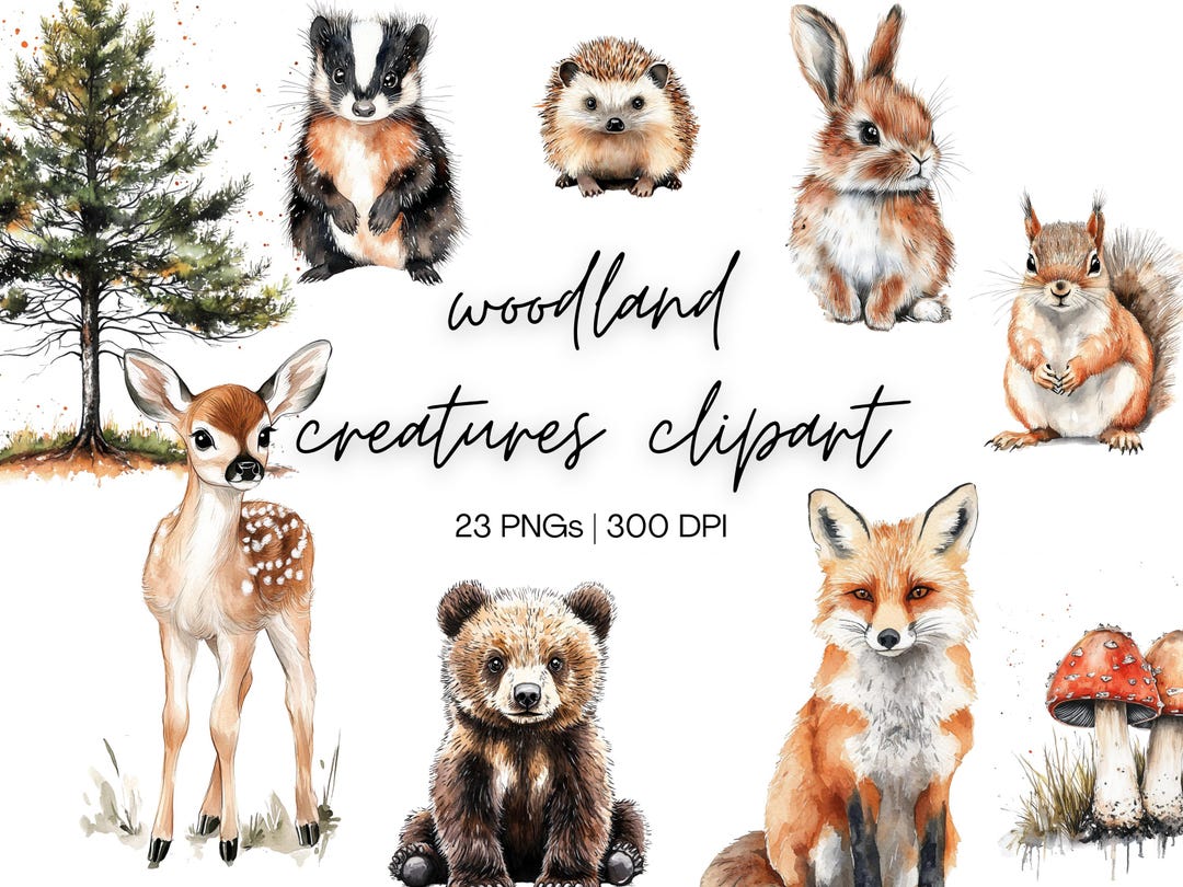 Woodland Creatures Clipart Pack | Woodland Creature, Watercolor Clipart ...