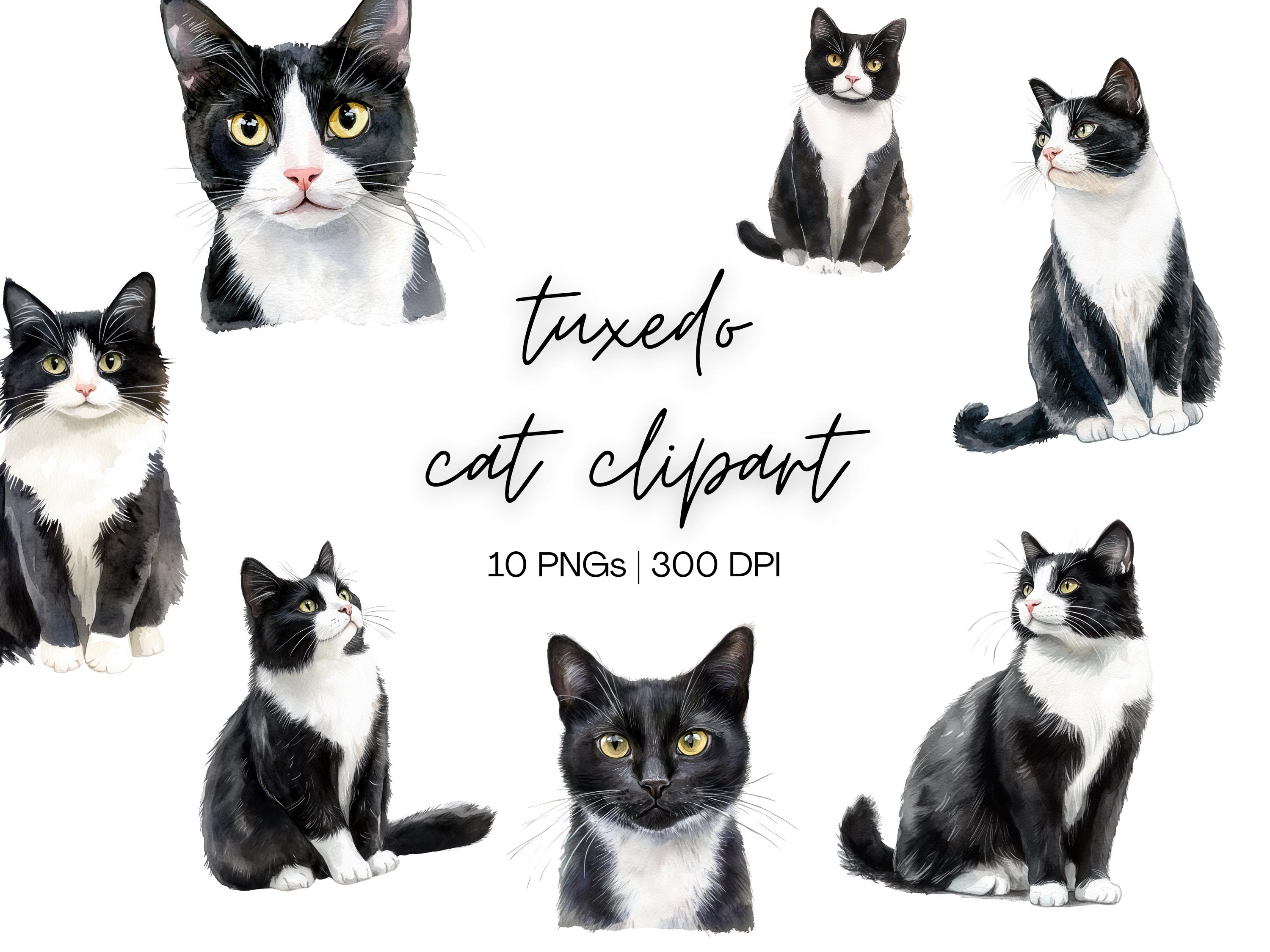 Tuxedo Cat Clipart | Black and White Cat, Watercolor Cat, Kitten ...